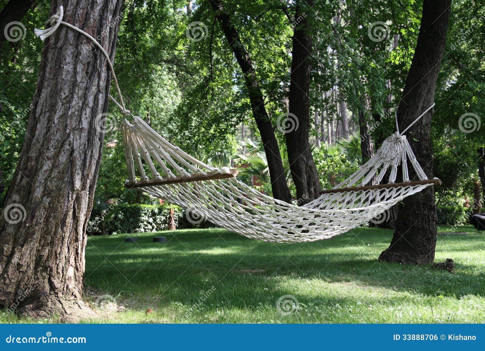 Hangmat onder twee bomen stock foto. Image of geluk, rust - 33888706