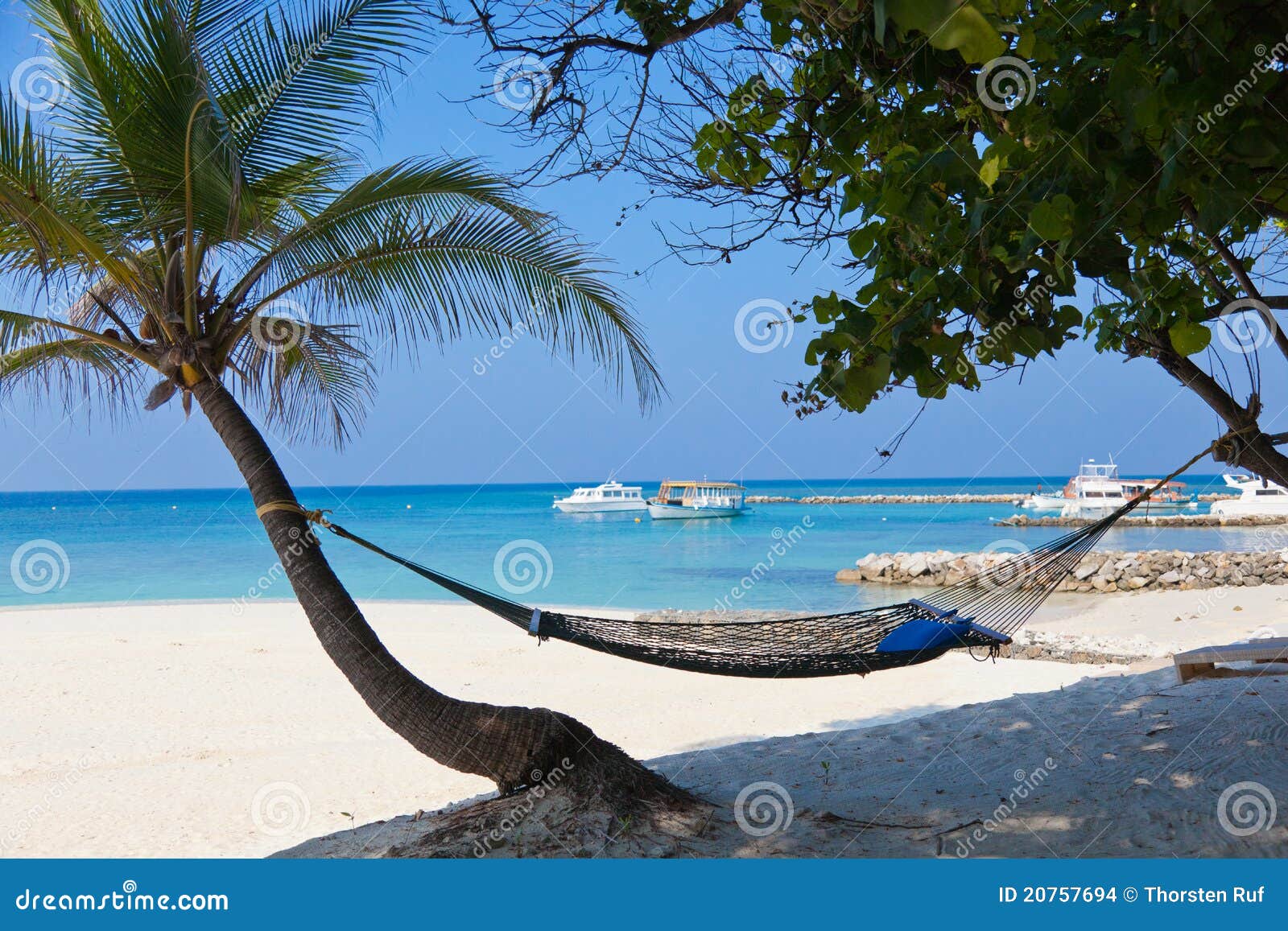 Hangmat op palm stock foto. Image of schip, boom, zwemmen - 20757694