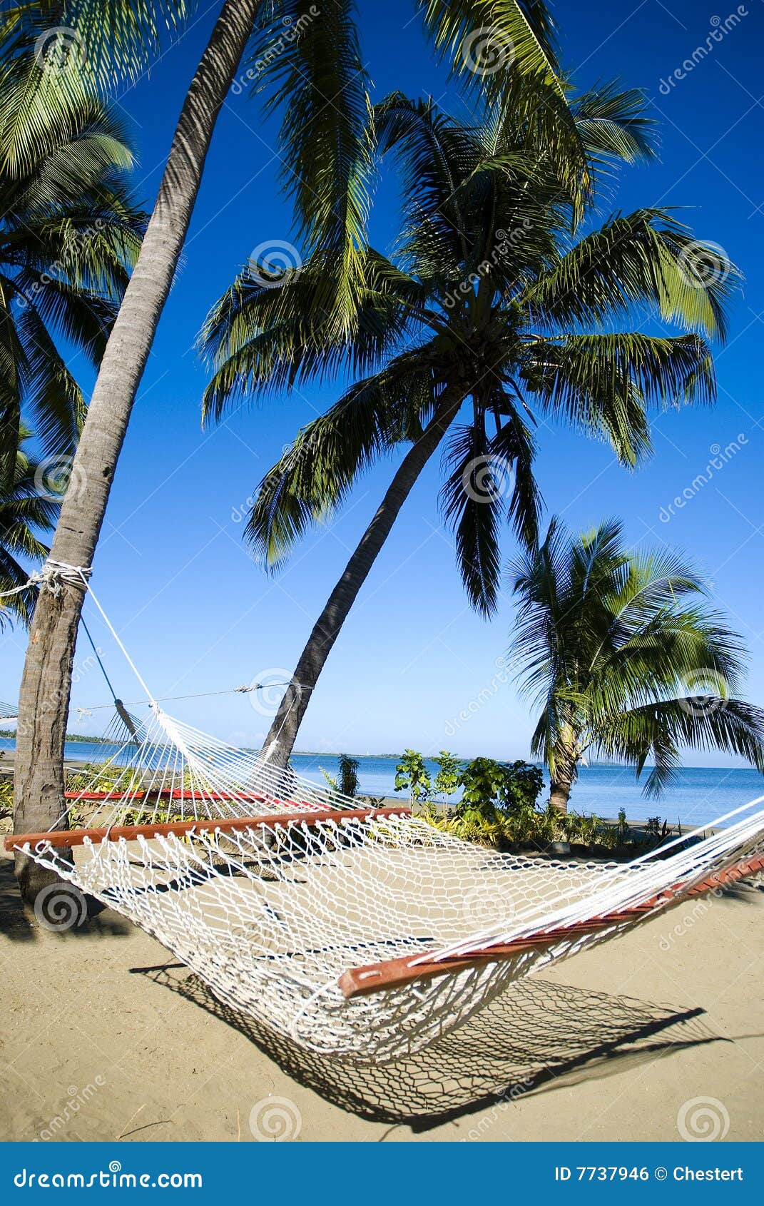 Hangmat op tropisch strand stock foto. Image of toerist - 7737946