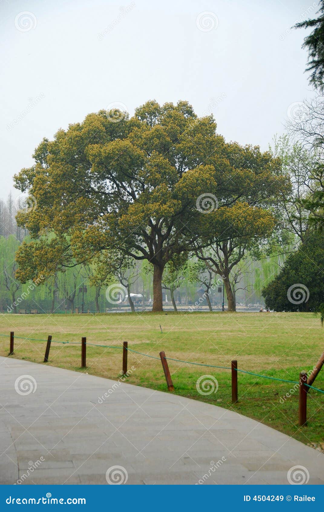 Hangzhou in Spring 3(China) Stock Image - Image of china, zhejiang: 4504249