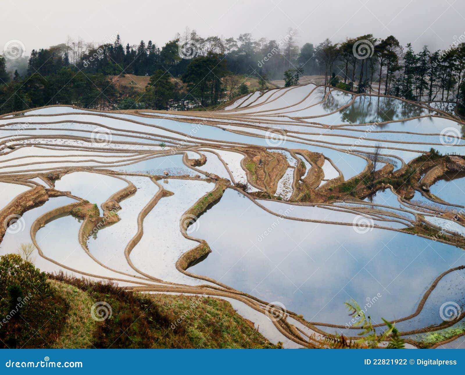 Hani Rice Terraces Yuanyang, China Stock Photo - Image of landmark ...