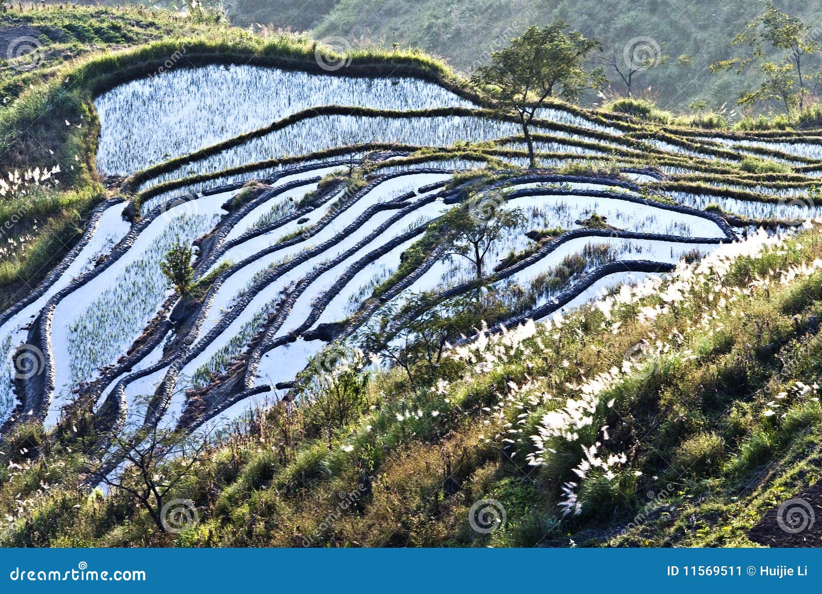 Hani Terrace,Yunnan,China013 Stock Image - Image of mountain, amazing ...