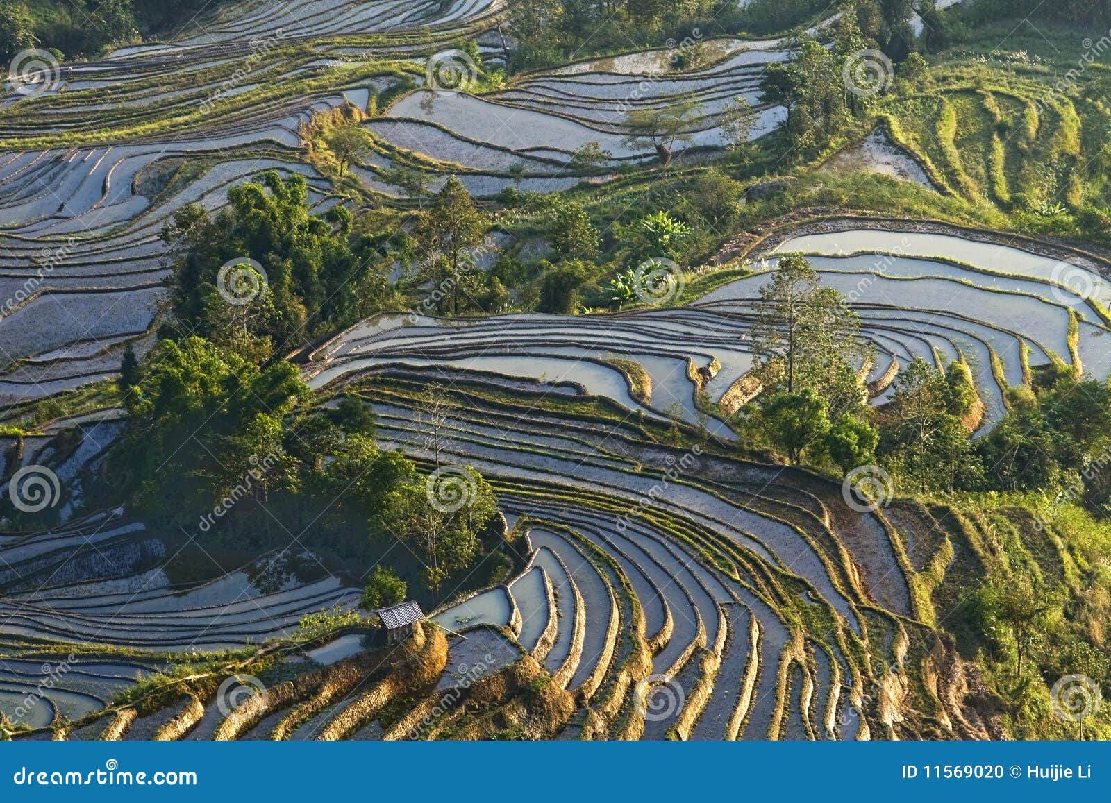 Hani Terrace,Yunnan,China03 Stock Photo - Image of heritage, farm: 11569020