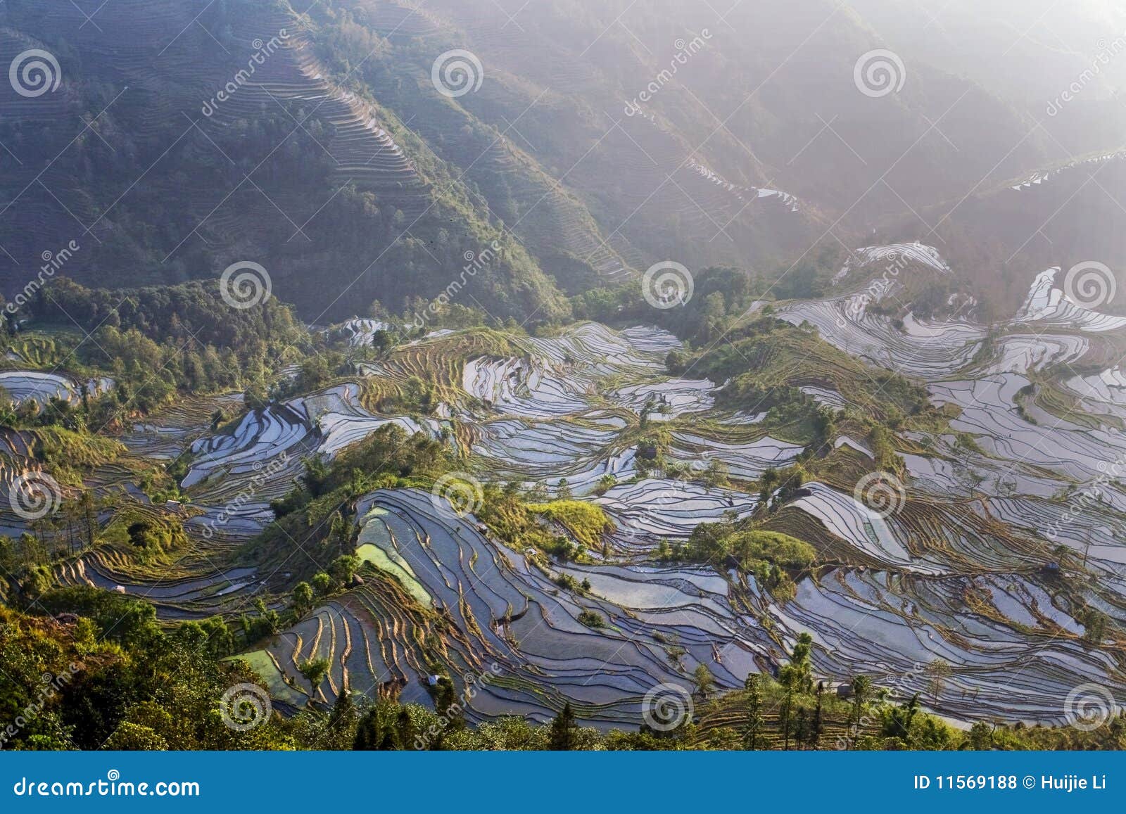 Hani Terrace,Yunnan,China07 Stock Photo - Image of background, grain ...