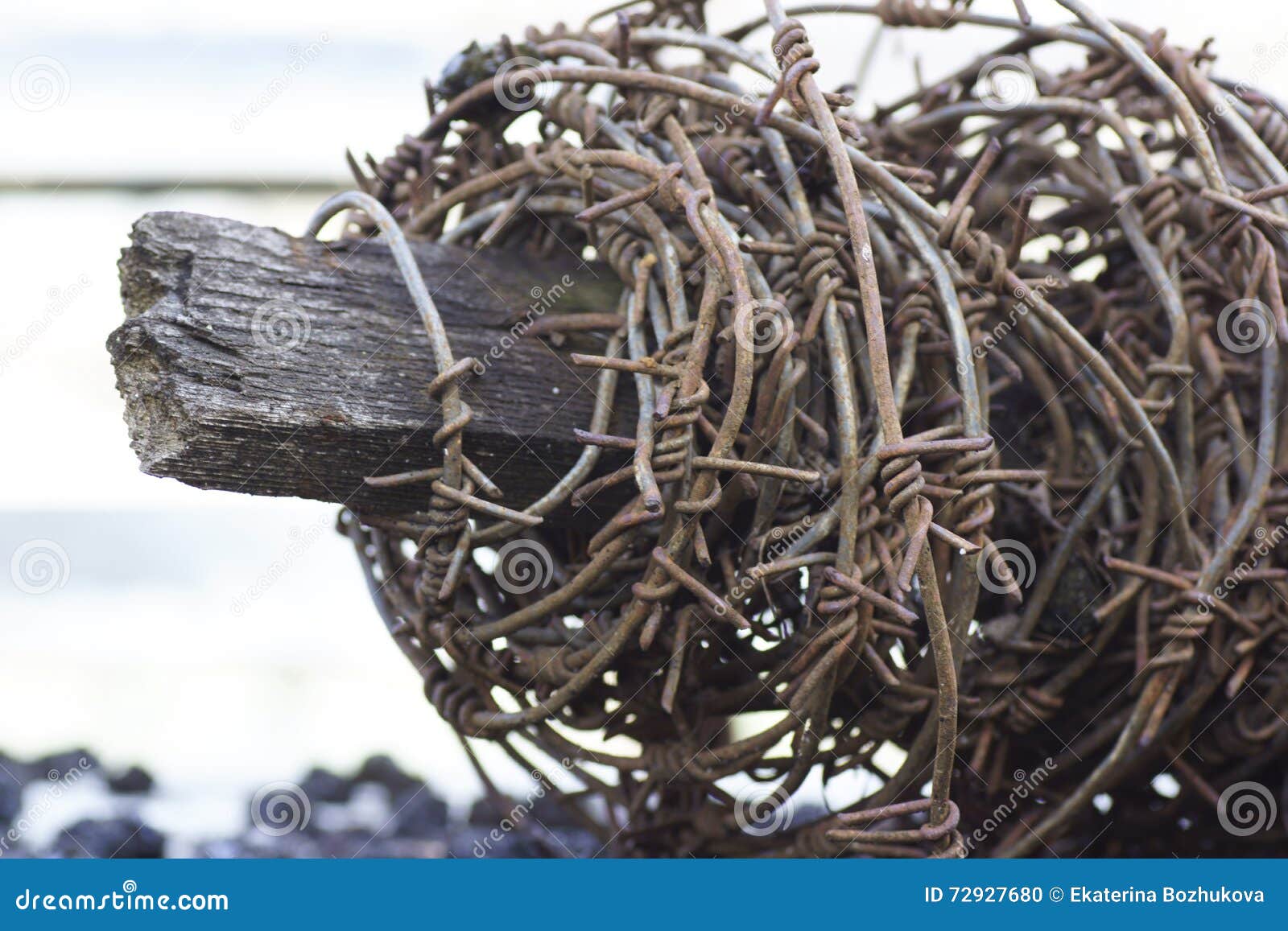 Hank of Barbed Wire on the Stick. Stock Photo - Image of depression ...