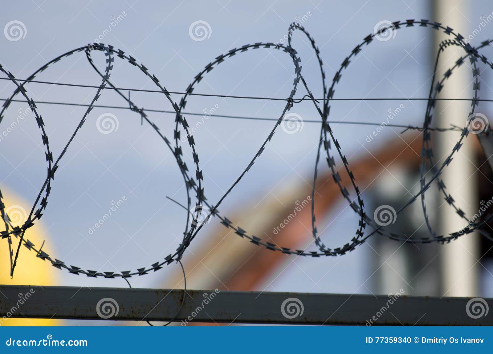 Hanks of a barbed wire stock photo. Image of prickly - 77359340