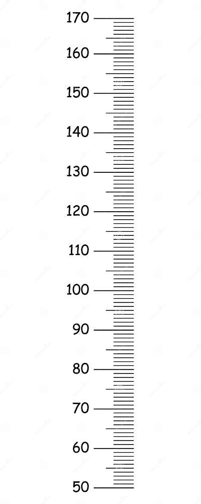 Kids Height Chart from 50 To 170 Centimeters. Meter Wall, Growth Ruler ...