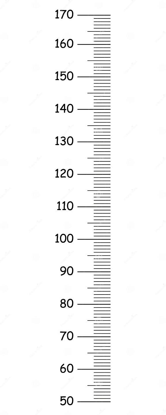 Kids Height Chart from 50 To 170 Centimeters. Meter Wall, Growth Ruler ...
