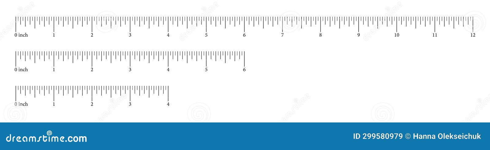 Inch Rulers. Measuring Tool. Ruler Graduation Grid. Size Indicator ...
