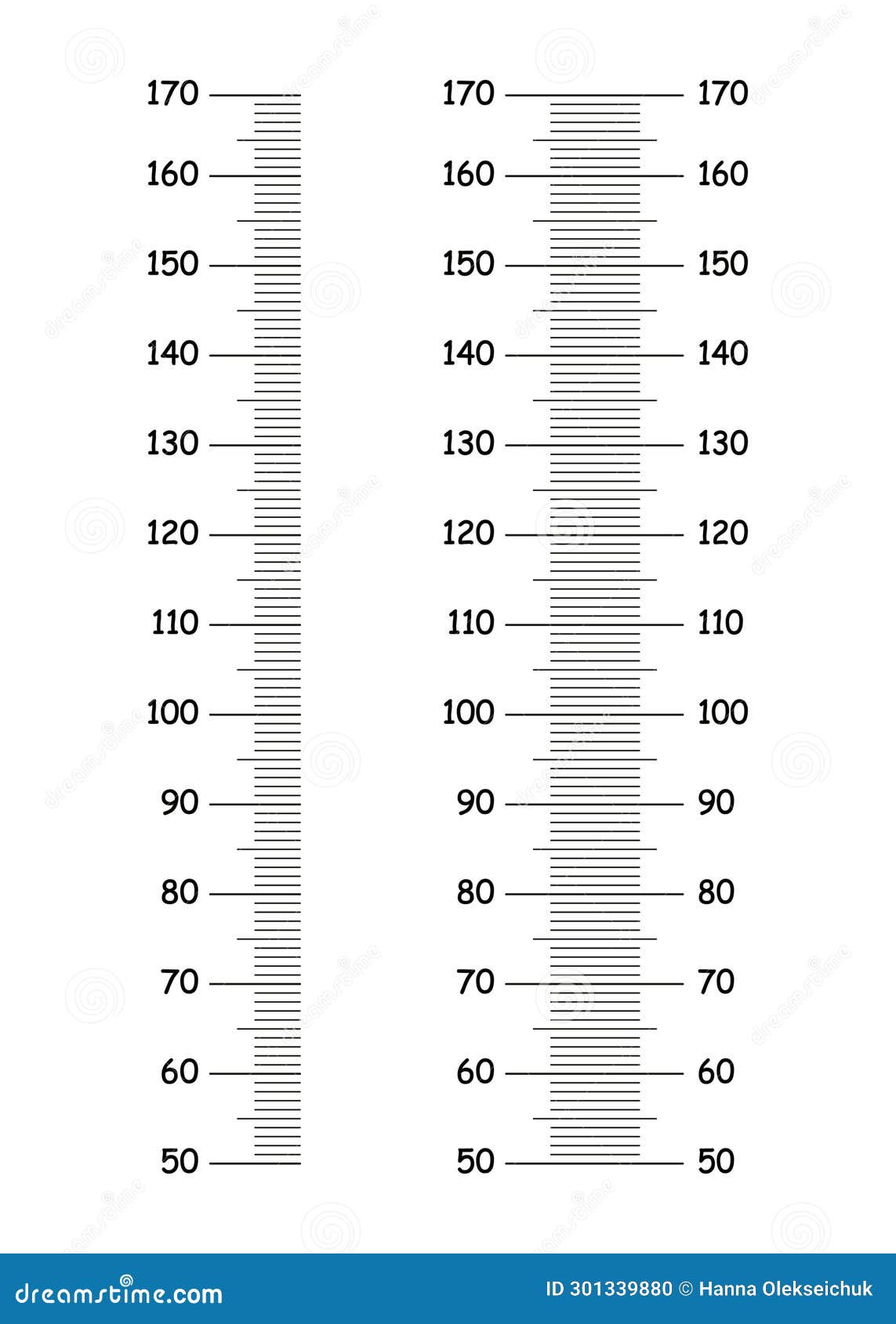 Height Chart From 50 To 170 Centimeters. Set Of Templates For Wall ...