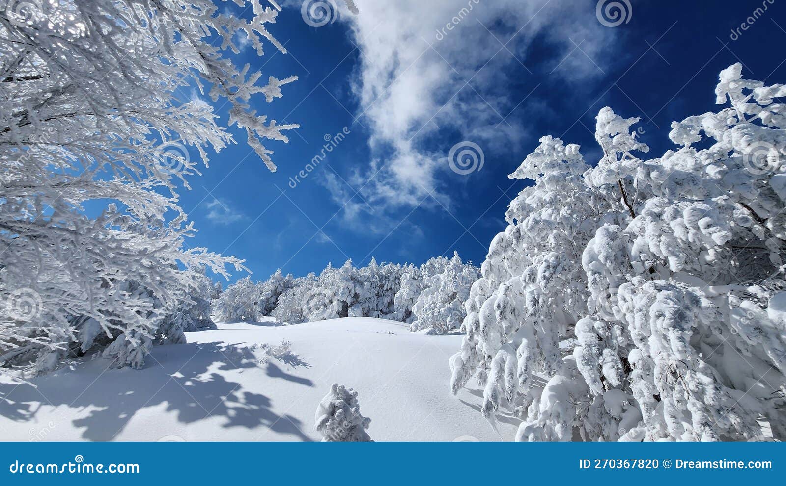 Hanra Mountain Stock Photos - Free & Royalty-Free Stock Photos from ...