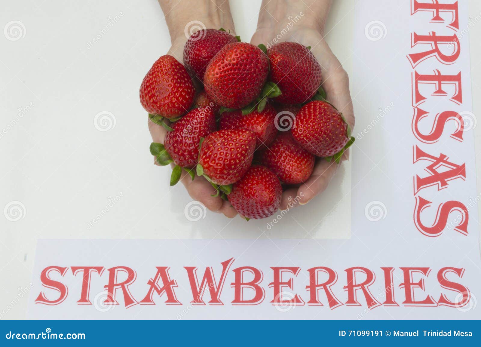 Hans with strawberries stock image. Image of nature, tasty - 71099191