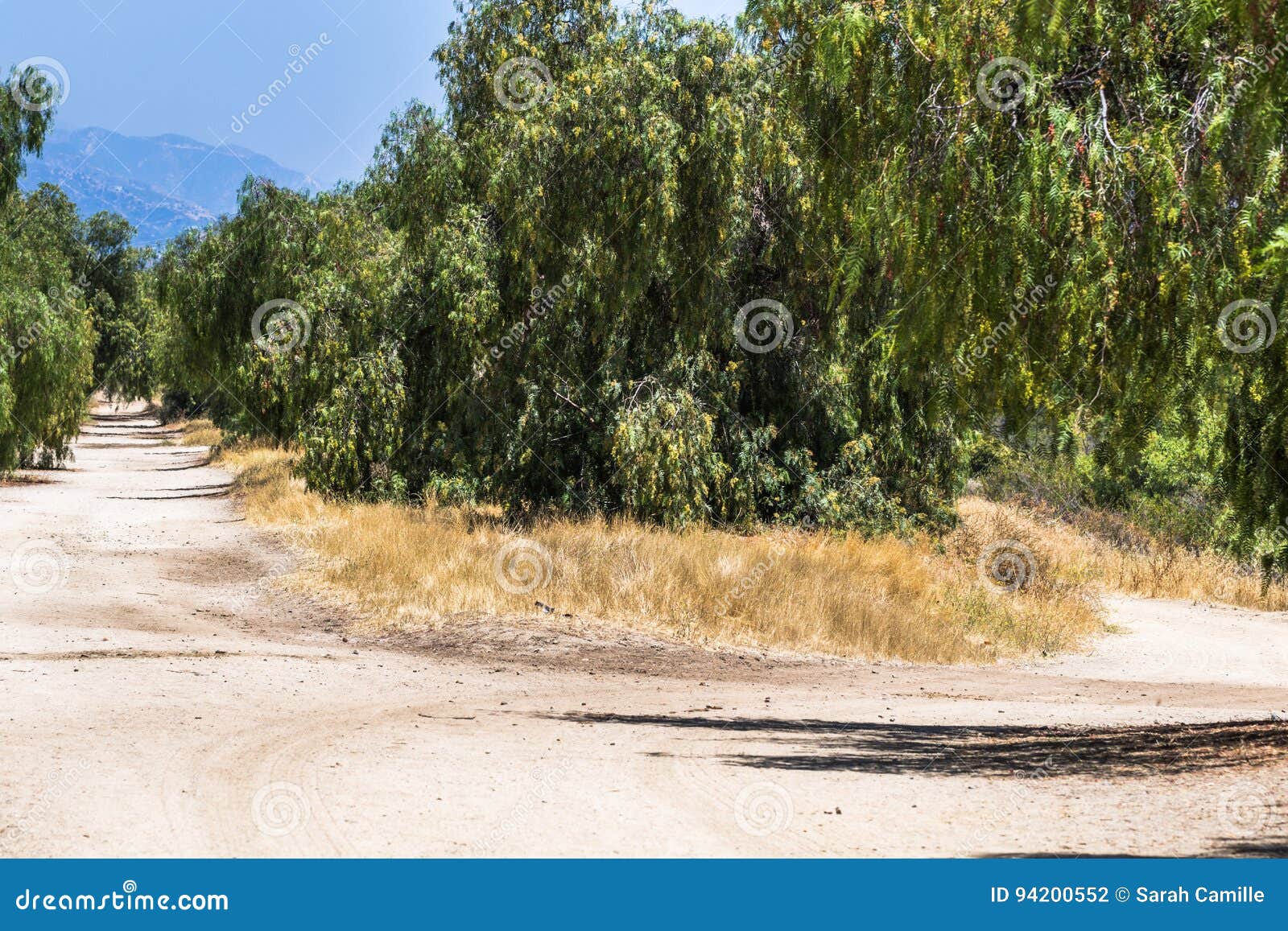Hansen Dam Trail stock photo. Image of mountains, background - 94200552