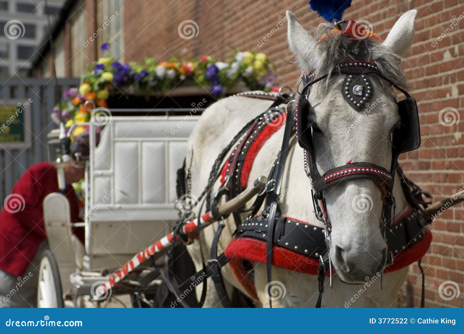 Hansom Cab stock photo. Image of life, hansom, blinders - 3772522