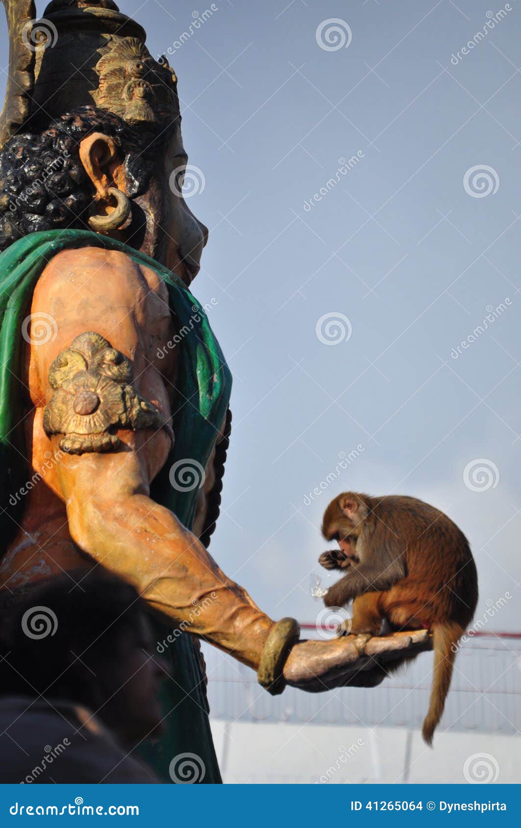 Real Hanuman Photo In Himalaya