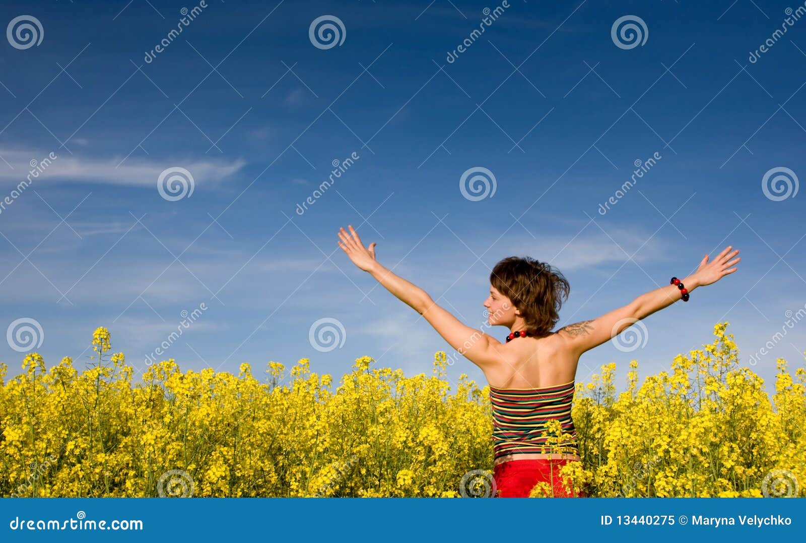 Happiness stock image. Image of life, leisure, portrait - 13440275