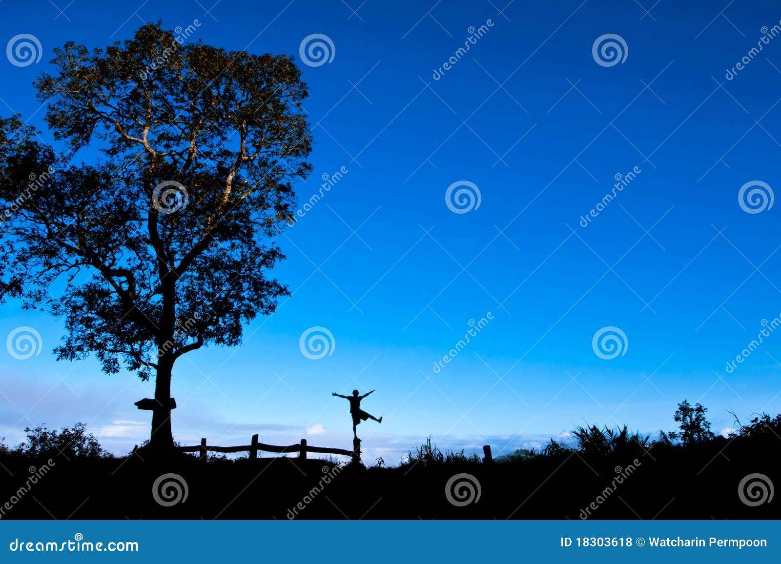 Happiness,Freedom,Silhouette,landscape Stock Photo - Image of tongue ...