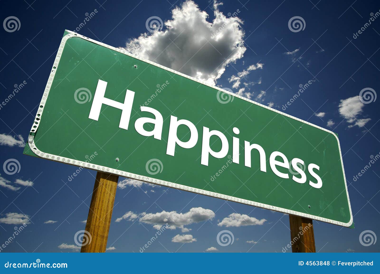 Way To Happiness. Road To Success. Steps To The Goal. The Road Begins ...