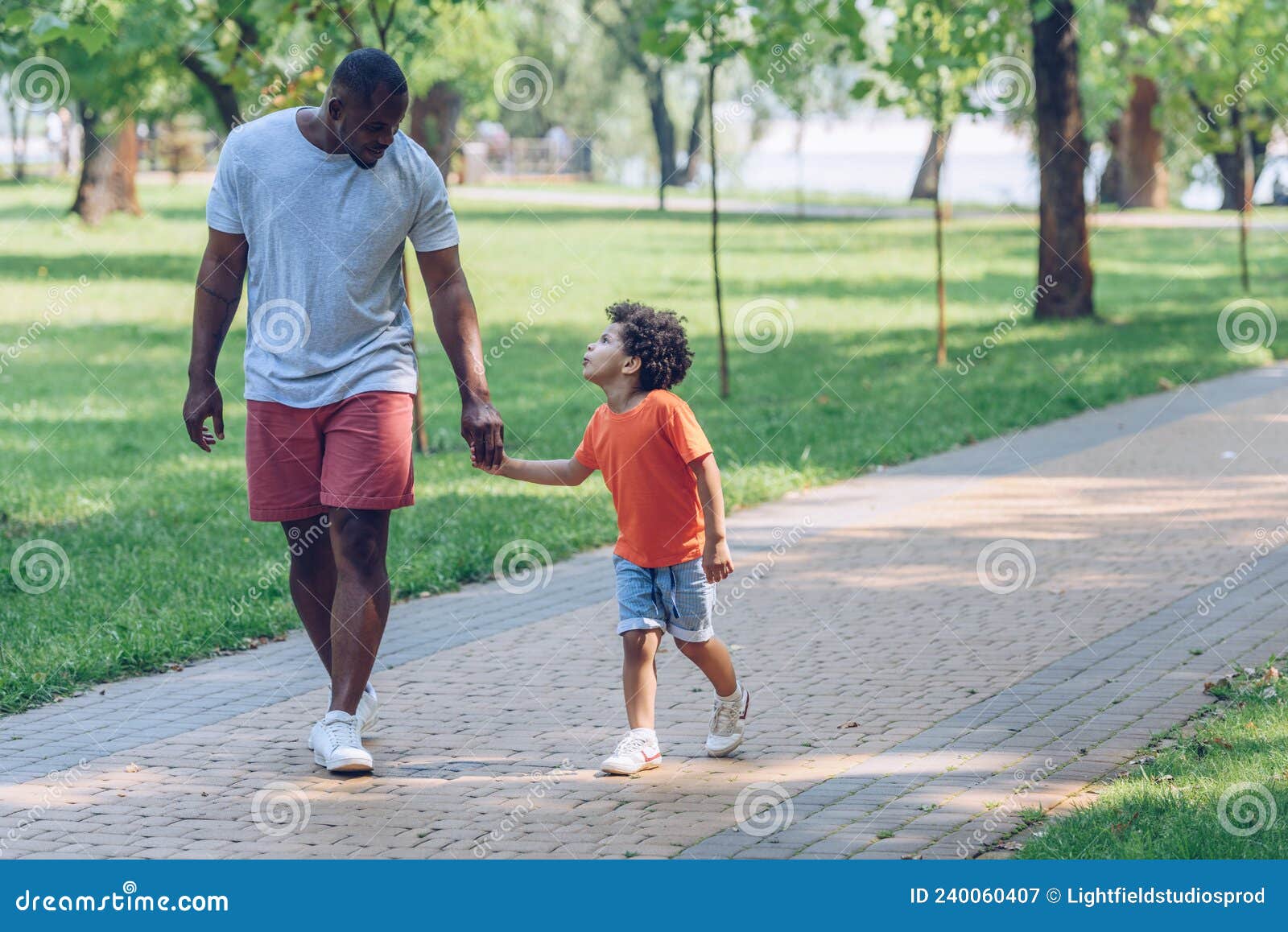 Happy African American Father And Son Stock Image Image Of Green