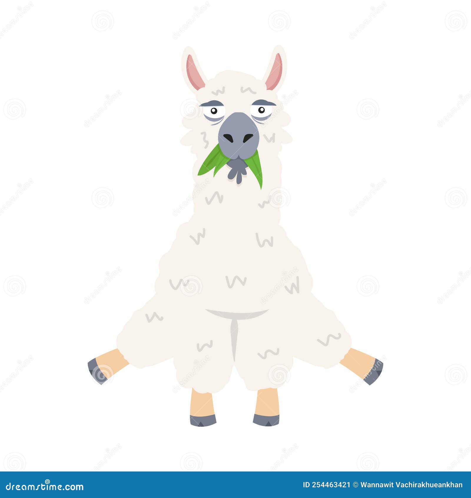 Cute Alpaca Eat Grass Vector Stock Vector - Illustration of alpaca ...