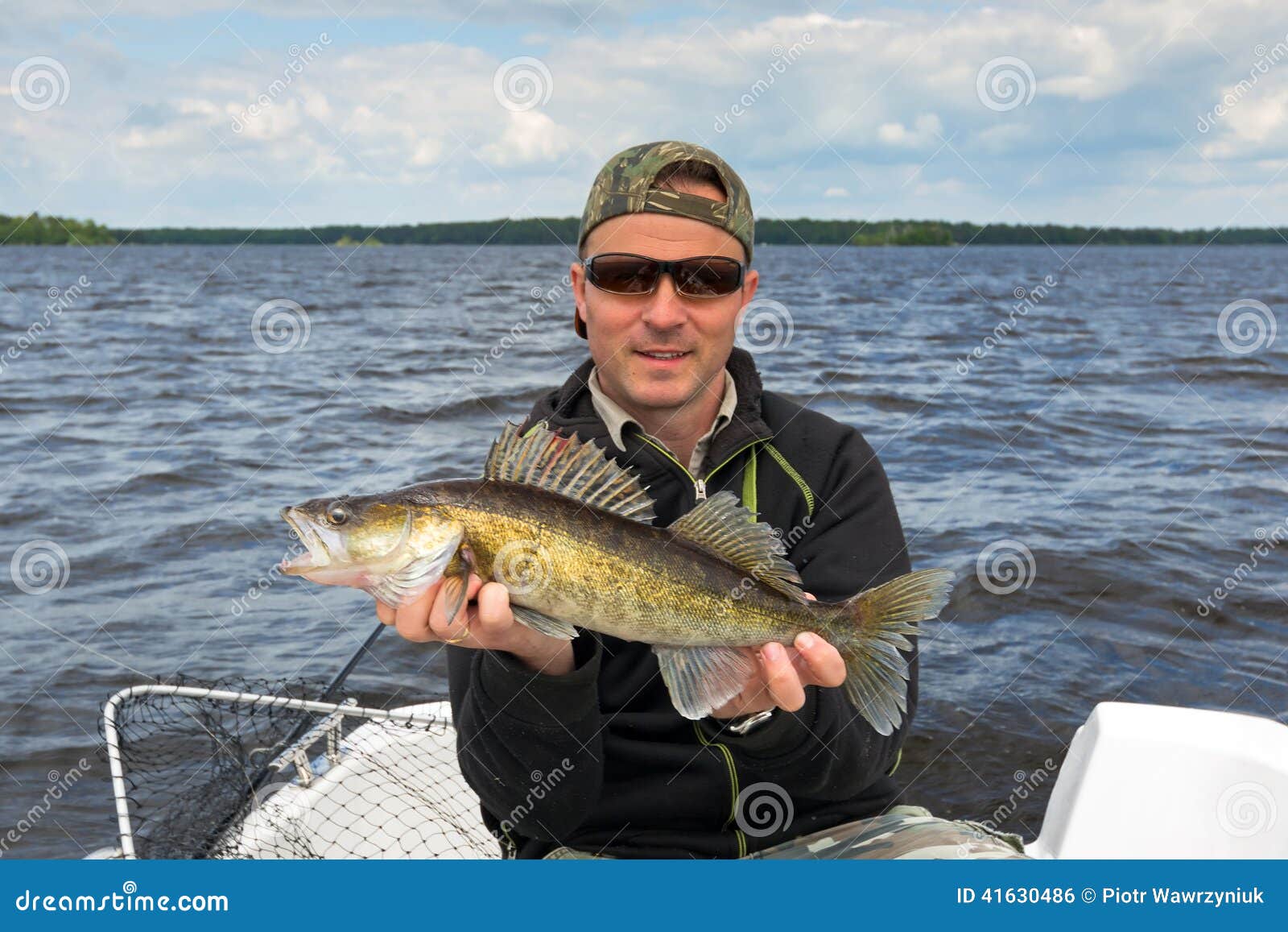 Happy Angler with Walleye Trophy Fish Stock Photo - Image of fisherman ...