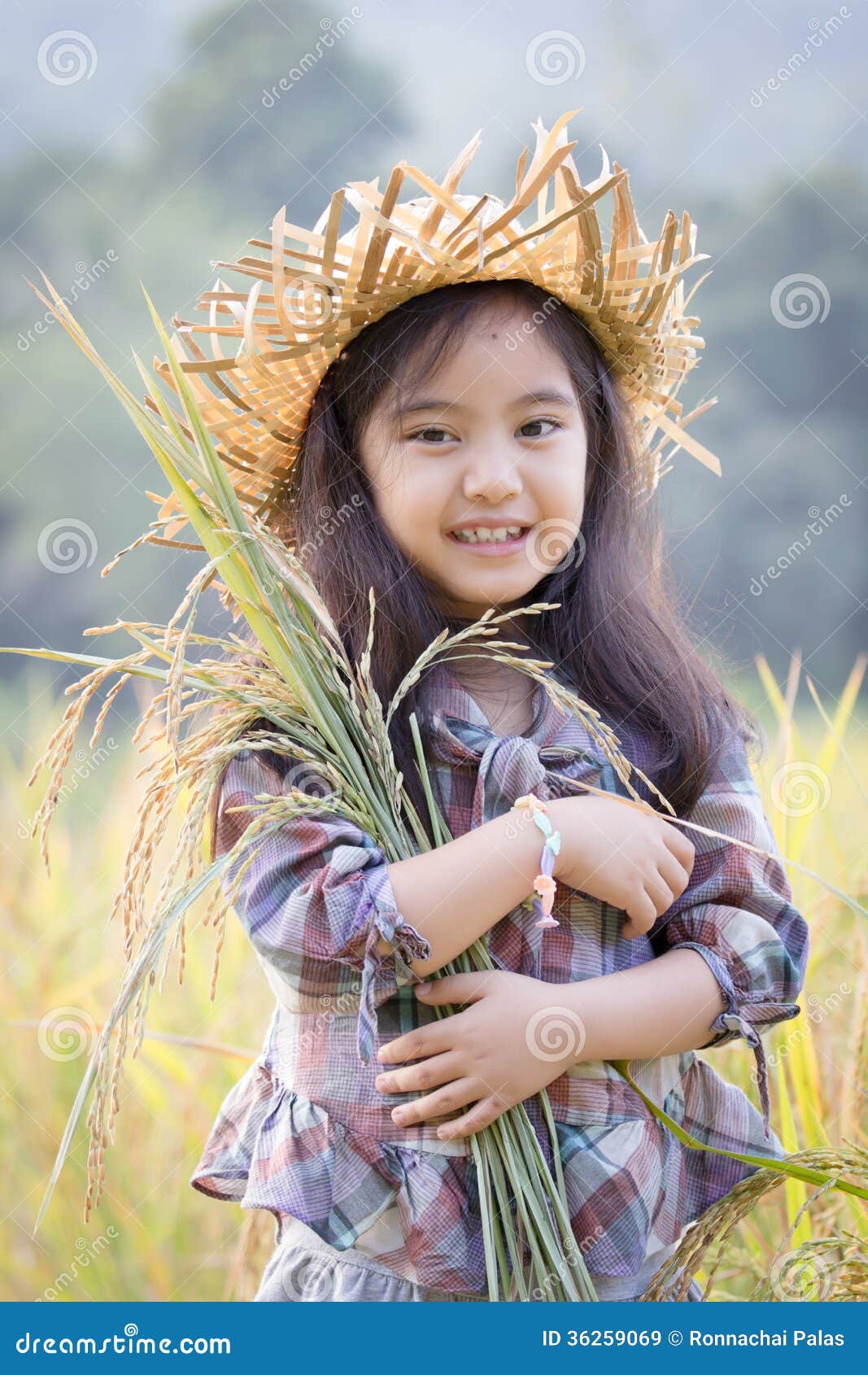 Happy Asian Child in Rice Field Stock Image - Image of young, rice ...