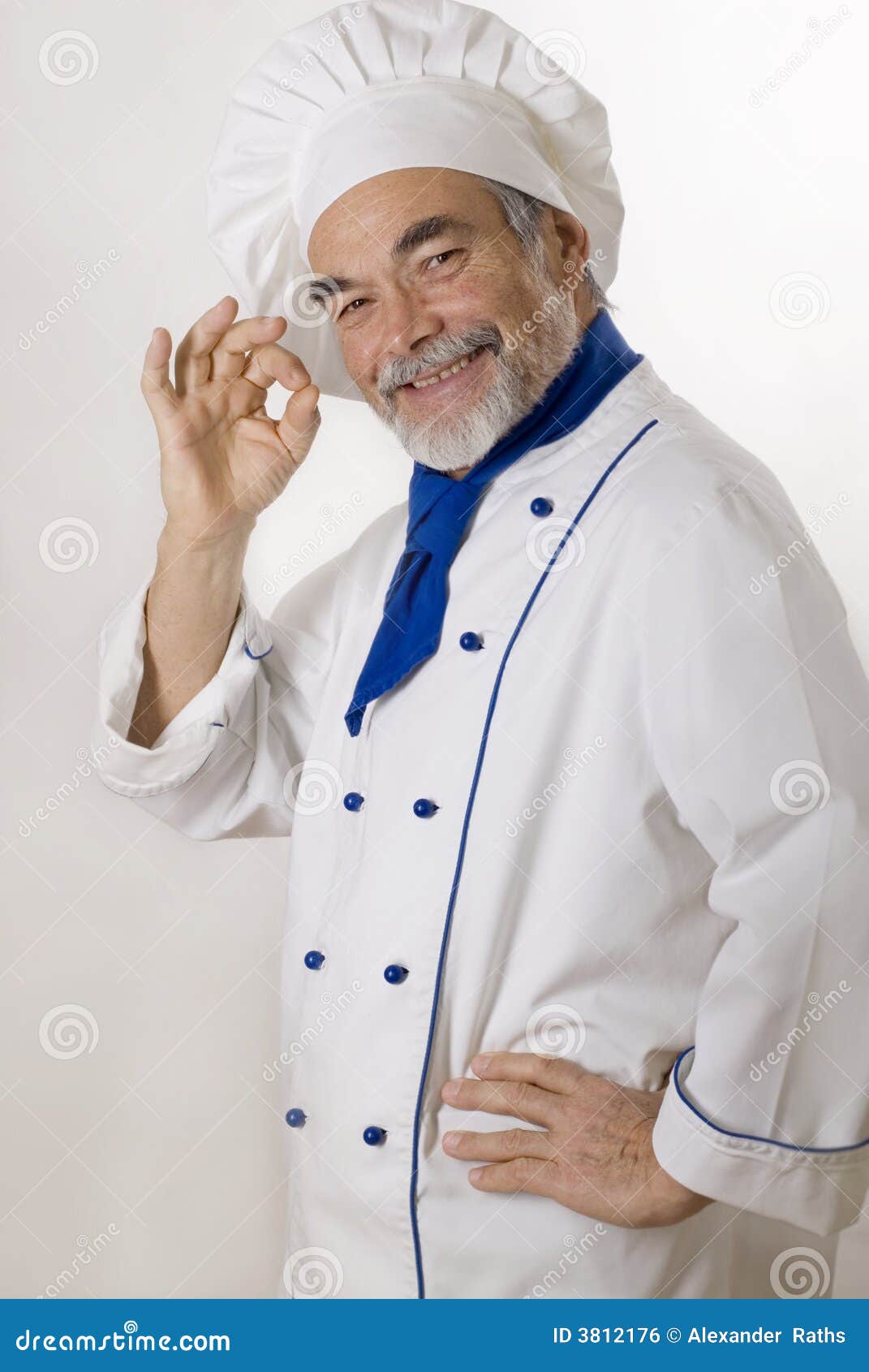 Happy attractive cook stock photo. Image of diet, occupation - 3812176
