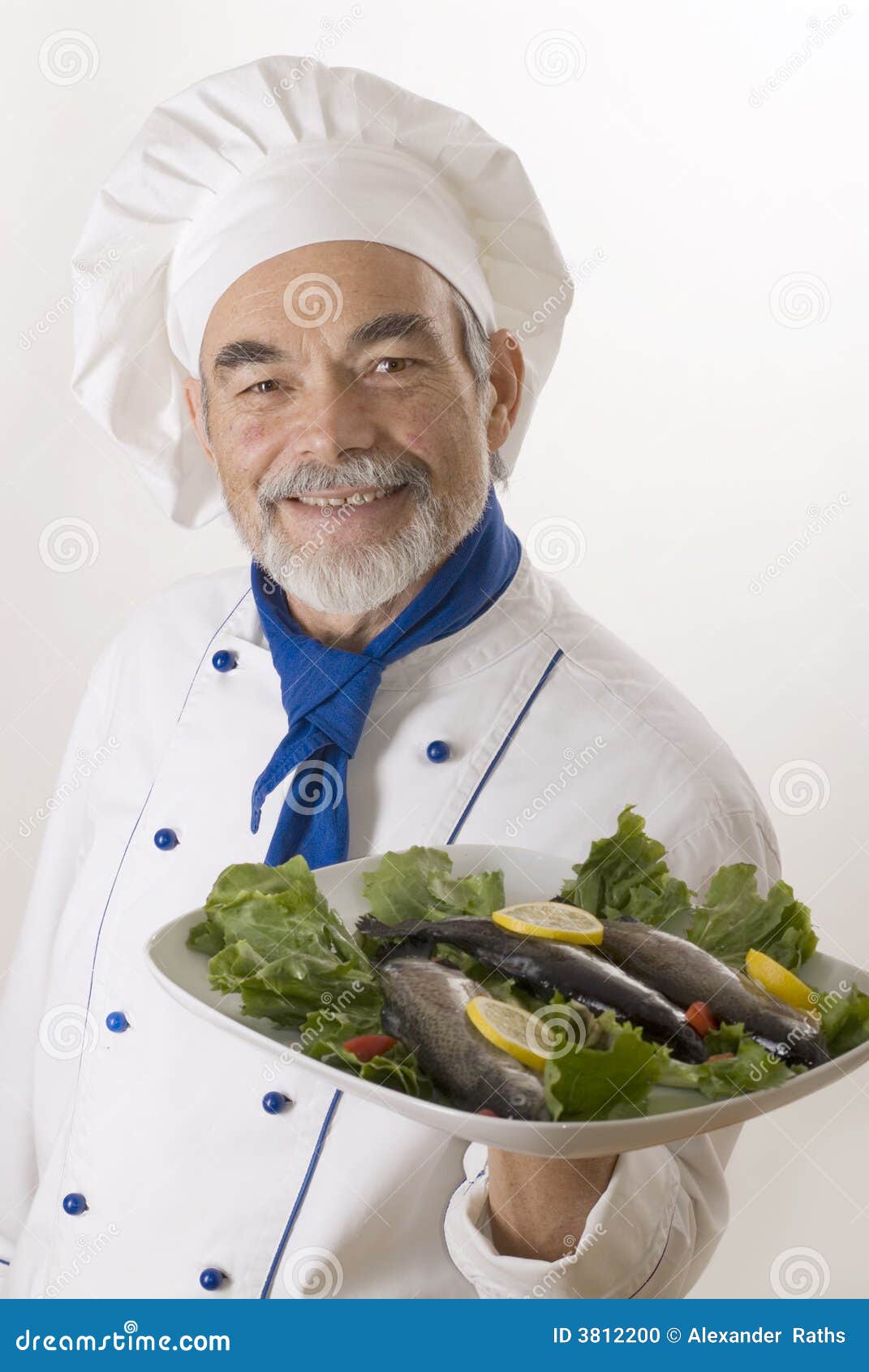 Happy attractive cook stock photo. Image of catering, dining - 3812200
