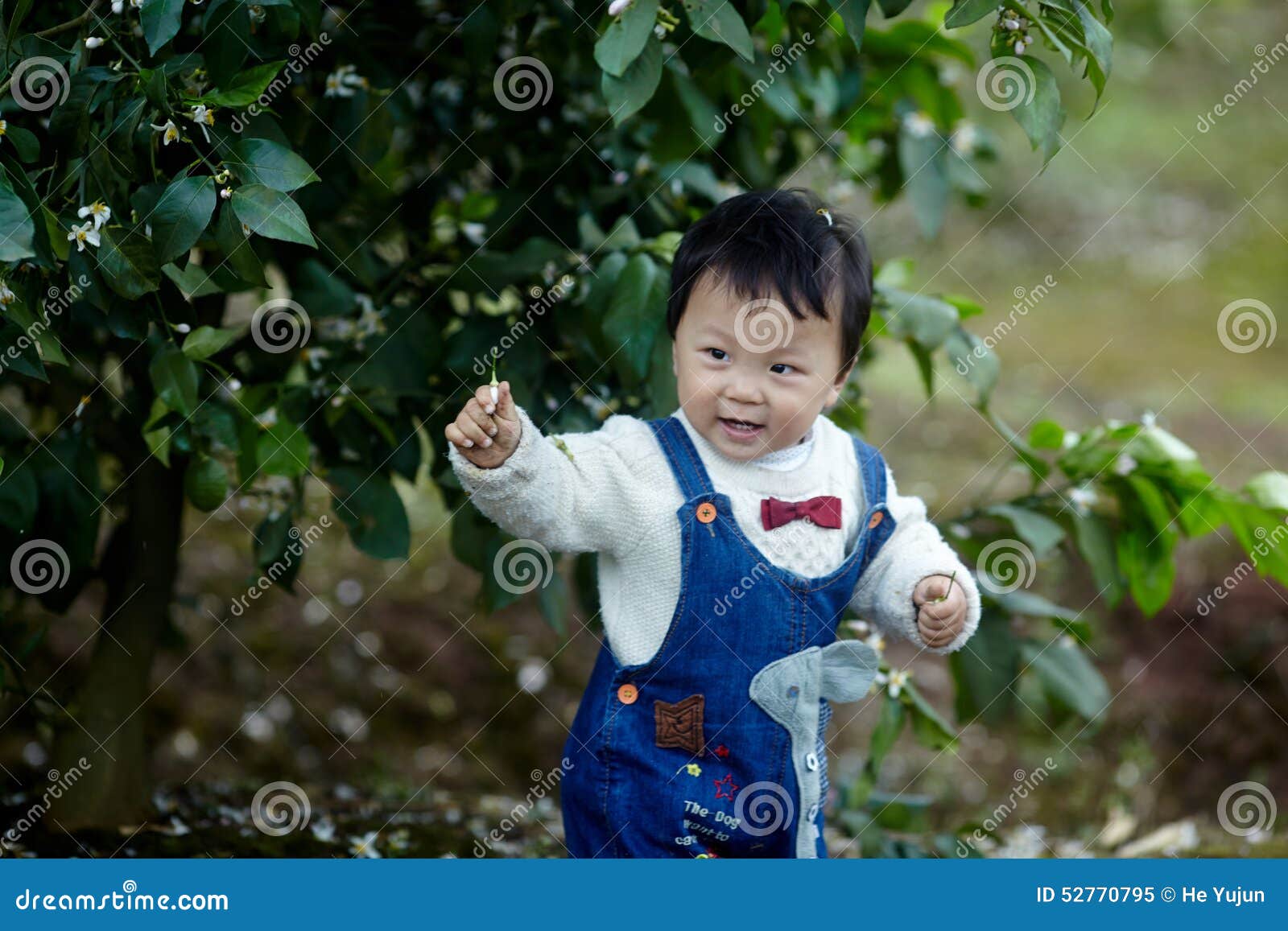 Happy Baby Boy in Lemon Trees Stock Image - Image of baby, playful ...