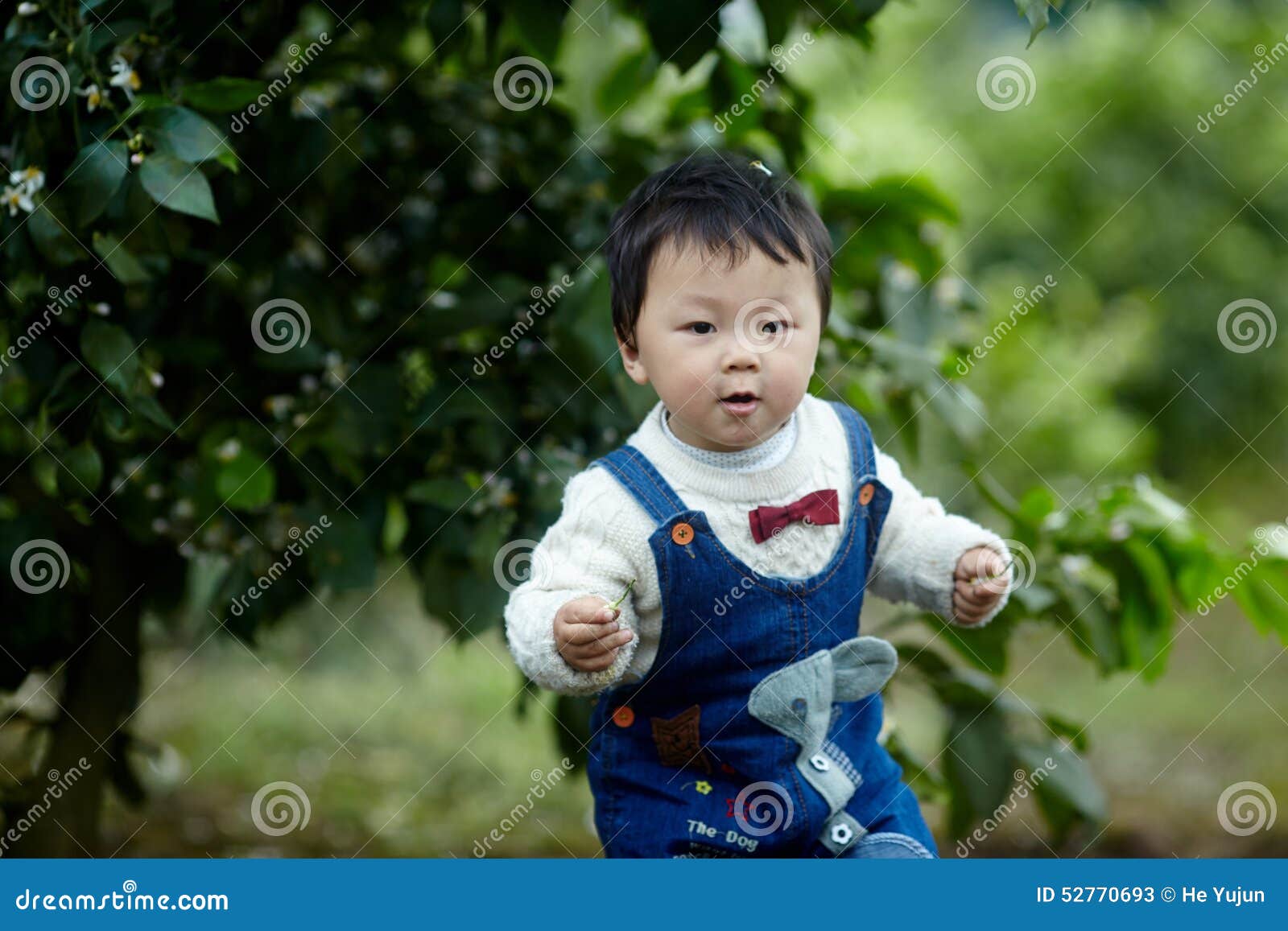 Happy Baby Boy in Lemon Trees Stock Image - Image of playful, beautiful ...