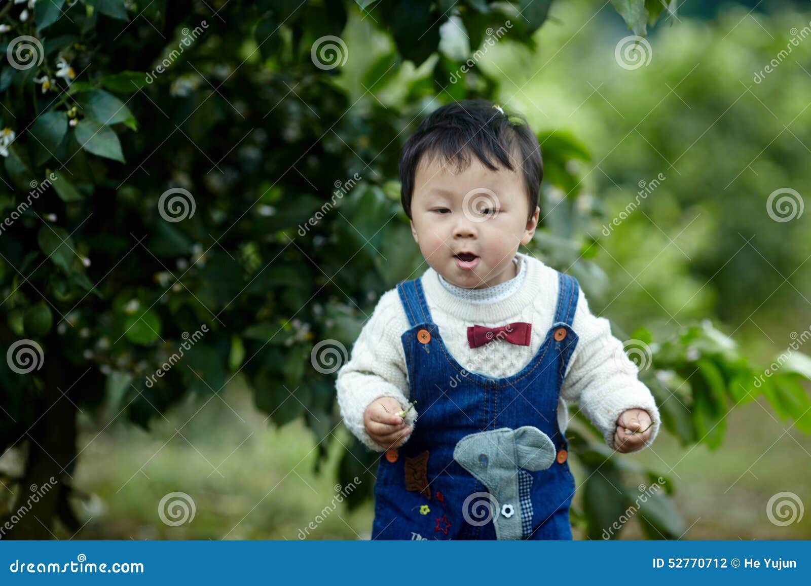 Happy Baby Boy in Lemon Trees Stock Photo - Image of green, beautiful ...