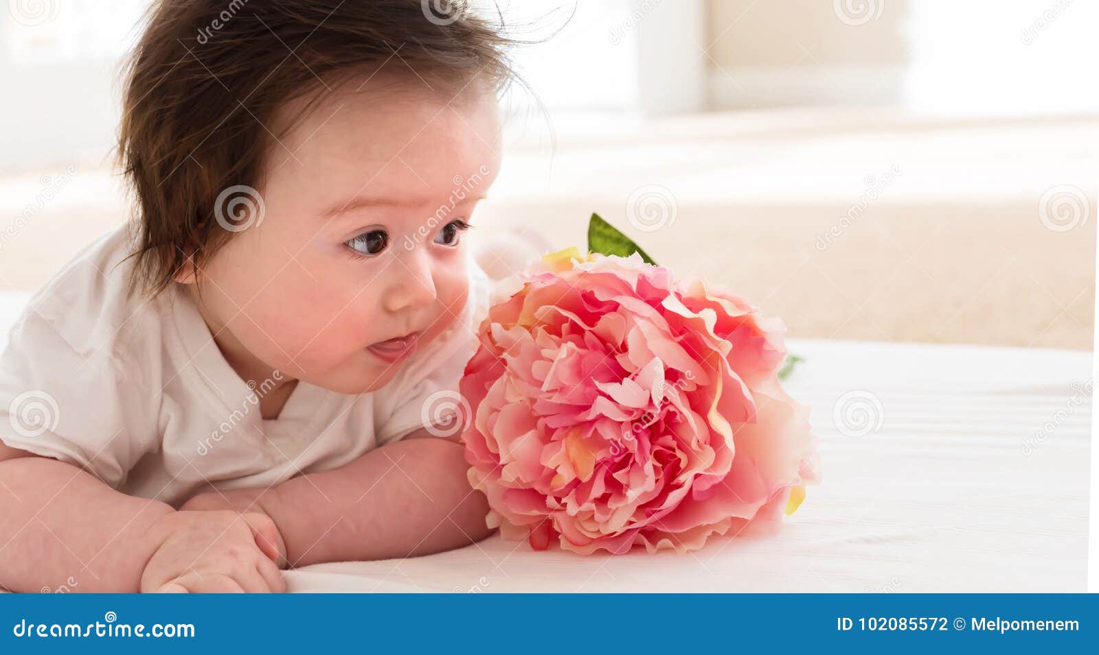 Happy Baby Boy with Pink Flower Stock Photo - Image of portrait, pink ...