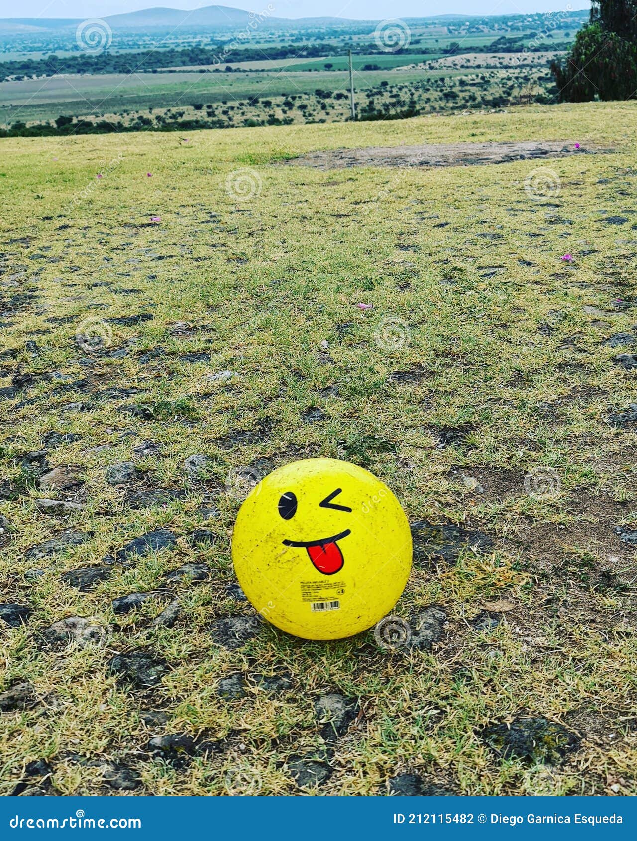 A happy ball stock photo. Image of flower, green, tree - 212115482