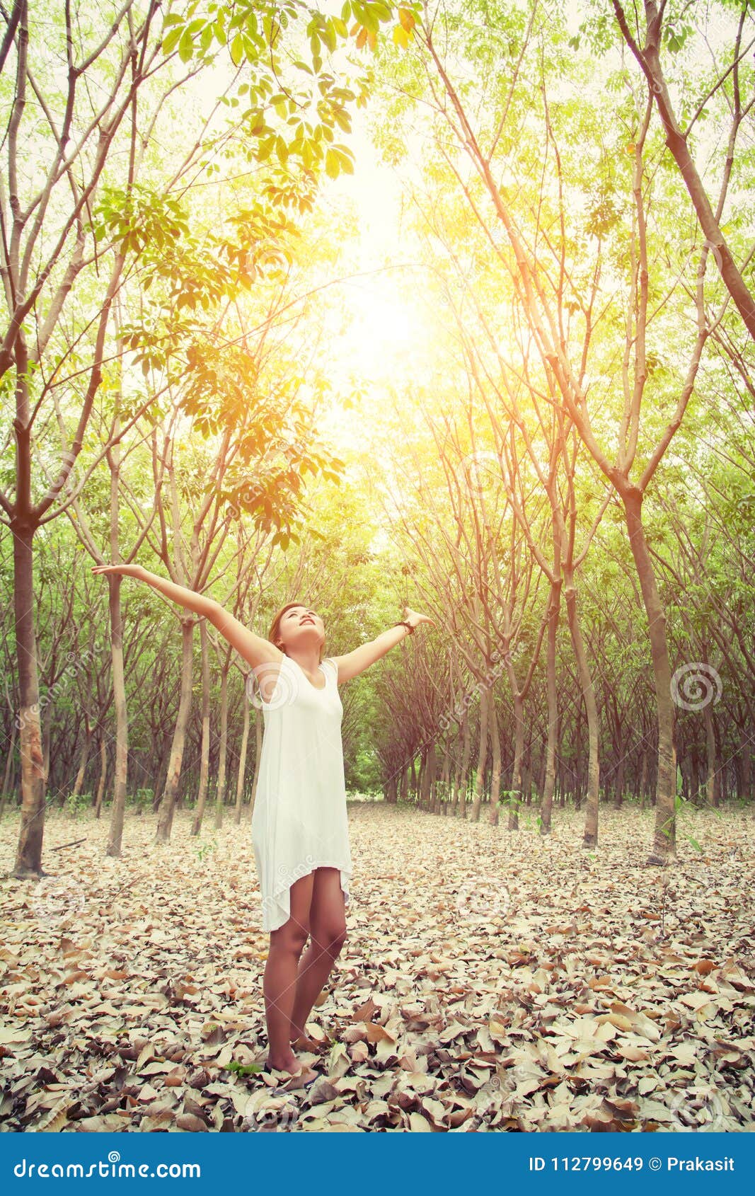 Happy Beautiful Young Woman Raising Her Hands in the Forest Enjoying ... Happy Beautiful Young Woman Raising Her Hands in the Forest Enjoying ...