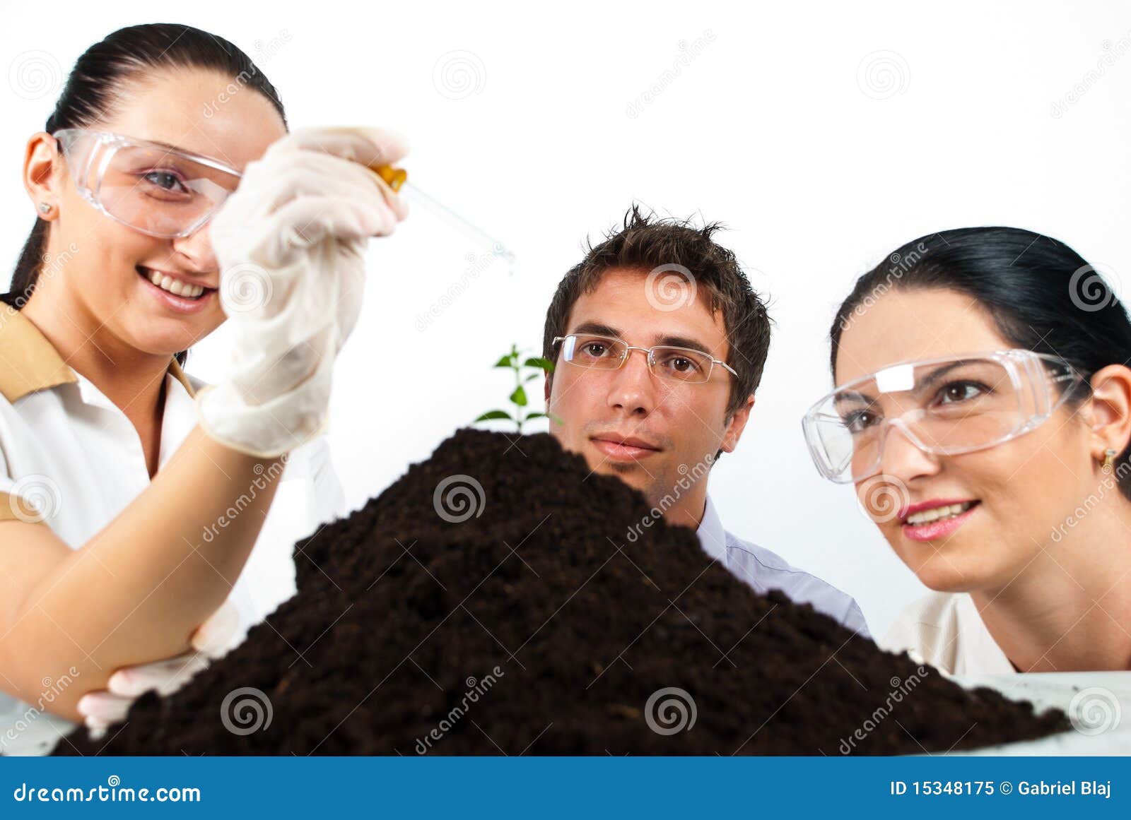 Biologists And Genetically Modified Plant Royalty-Free Stock ...