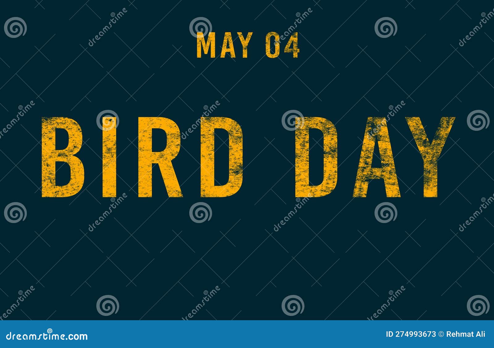 Happy Bird Day, May 04. Calendar of May Text Effect, Design Stock ...