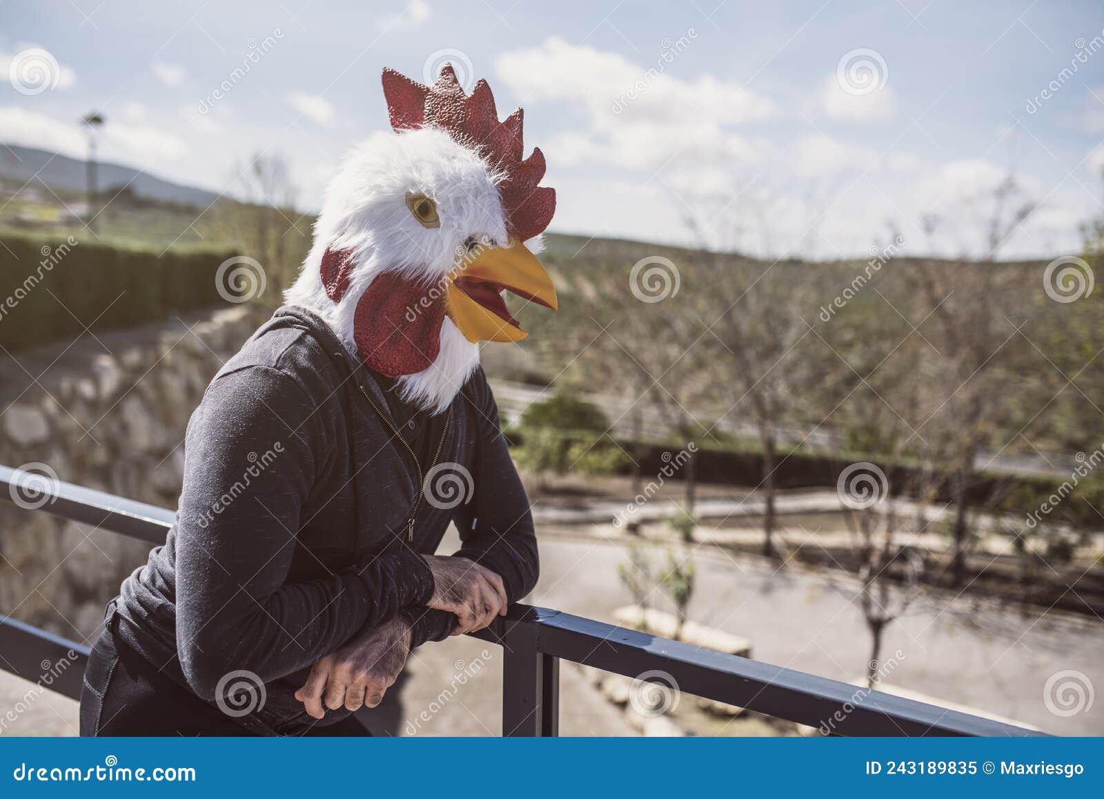 The Happy Bird Man Resting on Railing Looking Landscape Stock Image ...