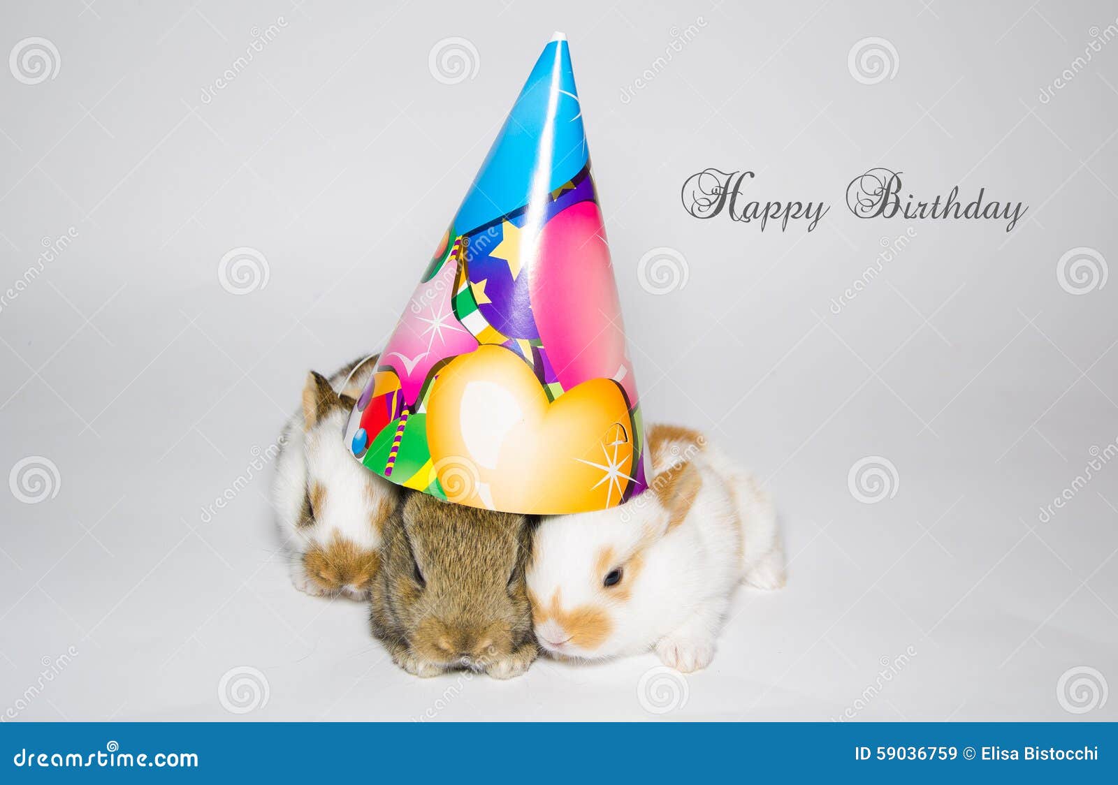 Bunny Wearing Birthday Hat