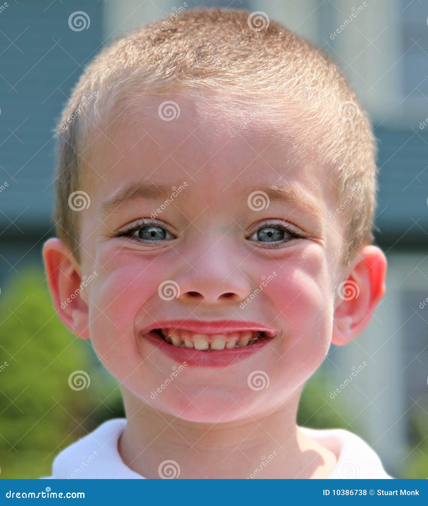 Happy boy stock photo. Image of northern, brown, caucasian - 10386738