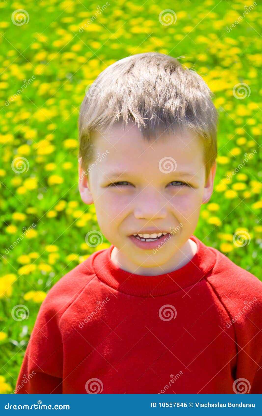 Happy boy stock photo. Image of happiness, spread, real - 10557846
