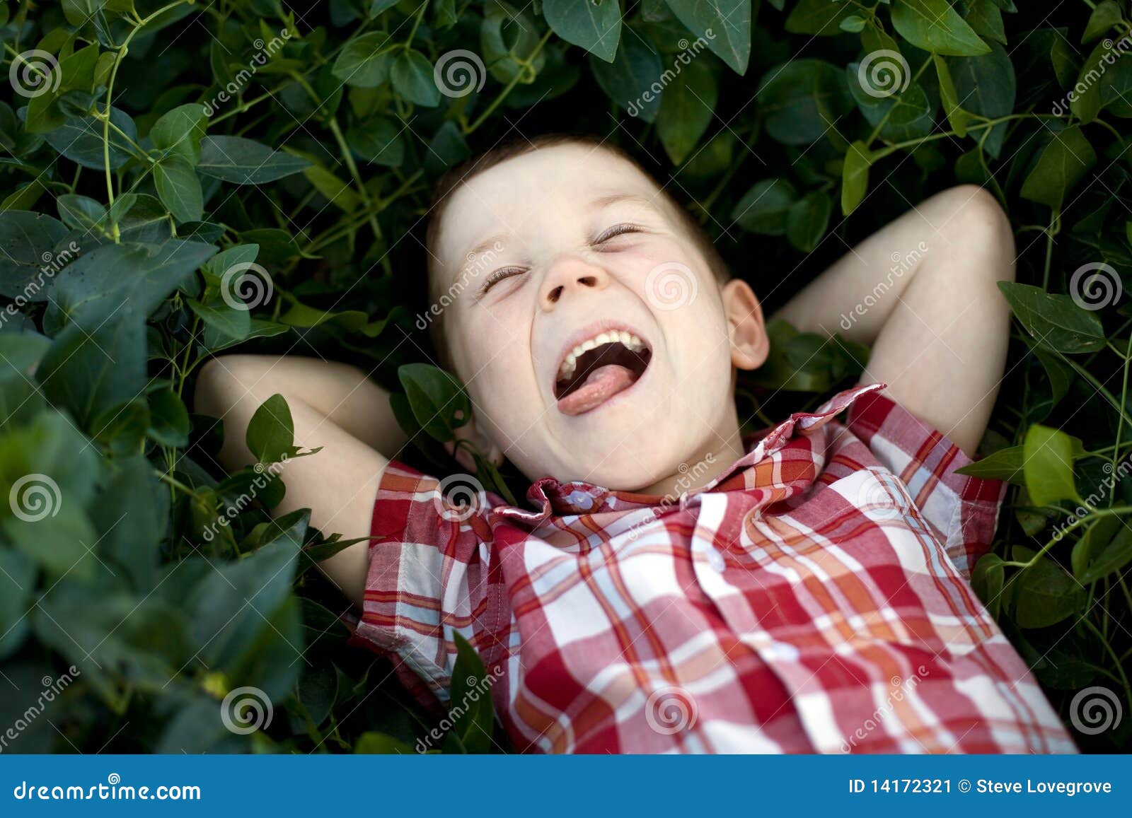 Happy Boy stock image. Image of happiness, young, happy - 14172321