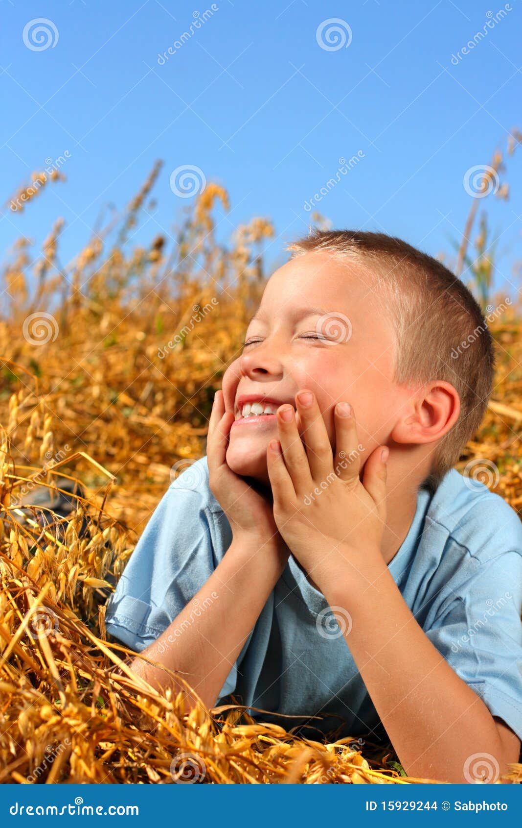 Happy boy stock photo. Image of delight, nice, happy - 15929244