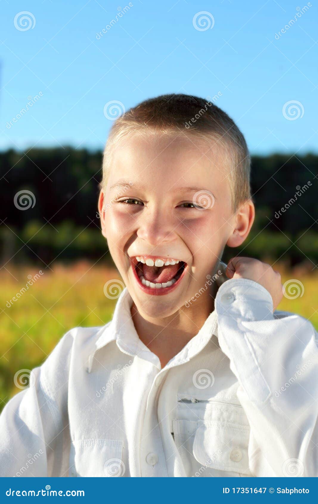 Happy boy stock image. Image of close, handsome, laugh - 17351647