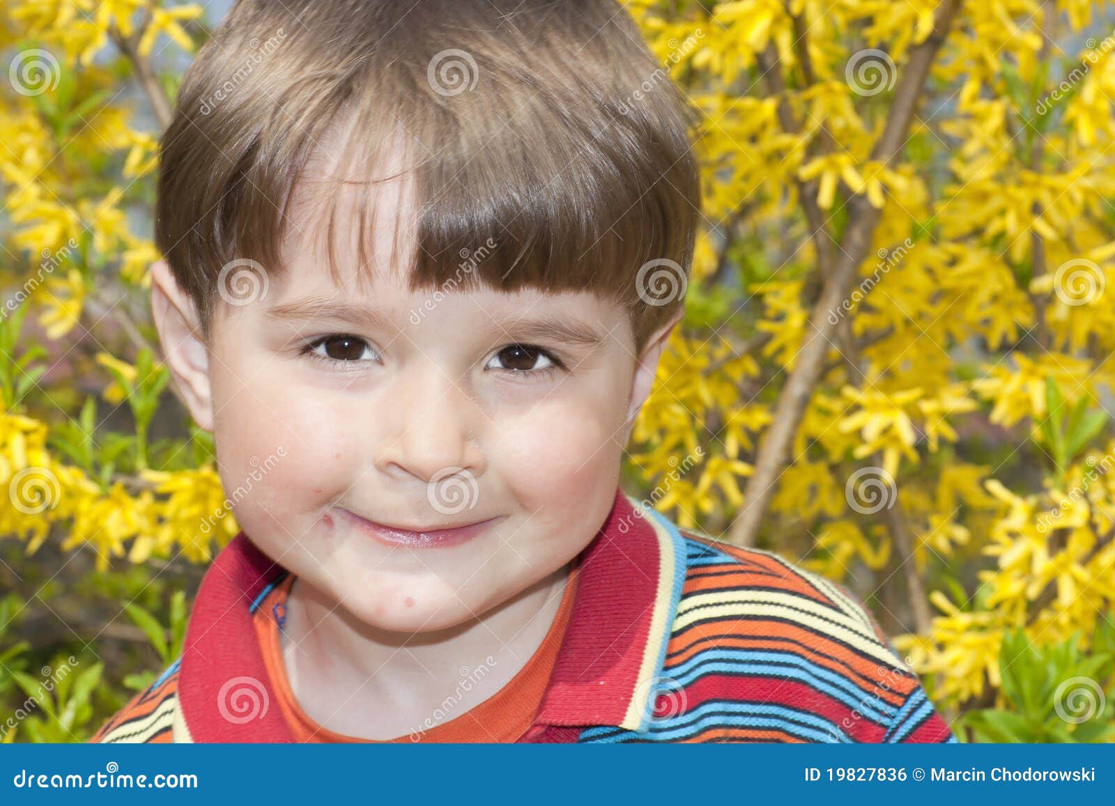 Happy boy. stock photo. Image of bush, friendly, grass - 19827836