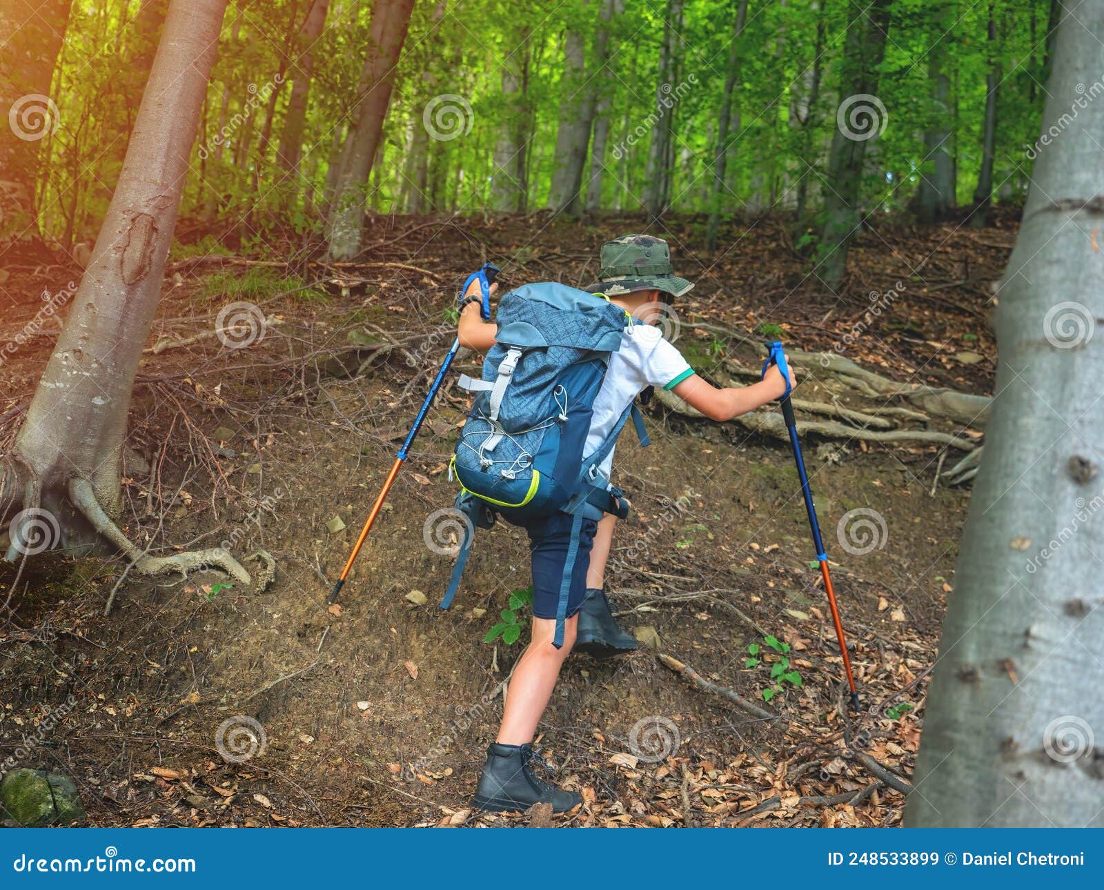 Happy Boy with Backpack and Trekking Sticks Hiking in Mountain Forest ...