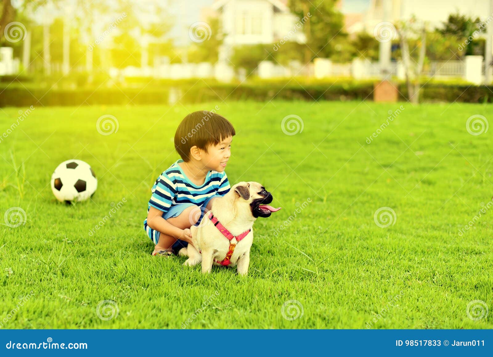 Happy boy with dog stock image. Image of learning, activity - 98517833
