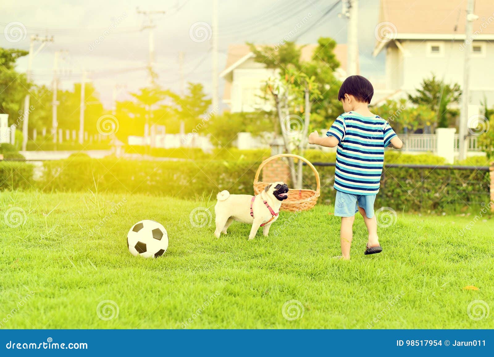 Happy boy with dog stock photo. Image of joyful, asia - 98517954