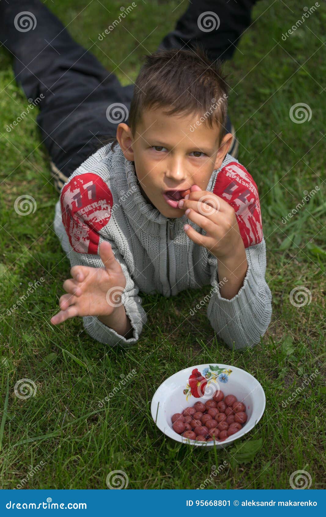 Happy Boy Eating Berries on the Grass. Stock Image - Image of harvest ...