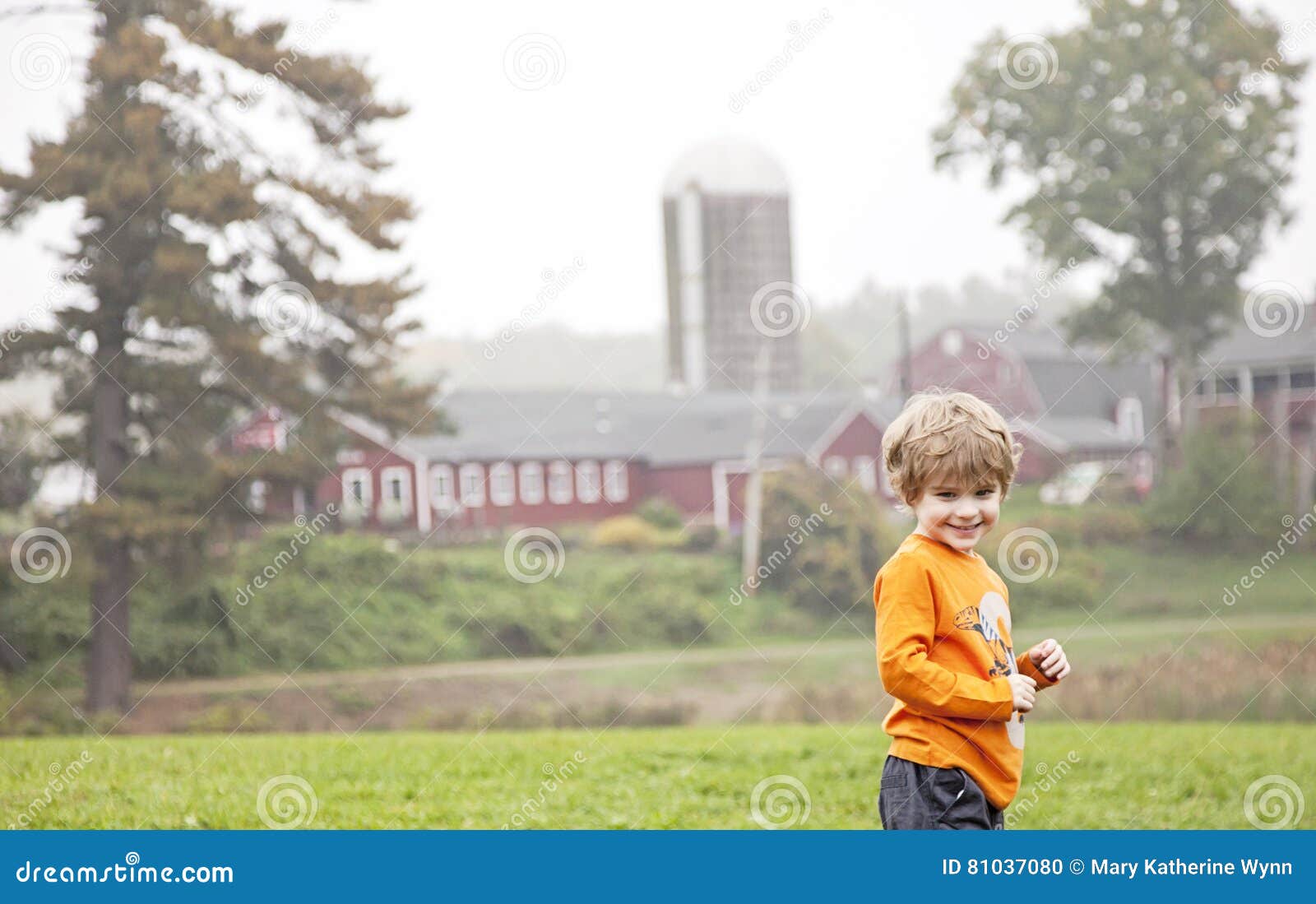Happy boy on farm stock photo. Image of posing, life - 81037080