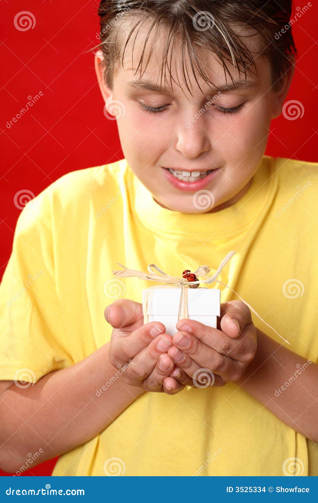 Happy Boy with Gift or Present Stock Photo - Image of gift, holds: 3525334